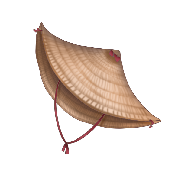 Amigasa hat - ibisPaint