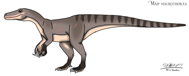 Maip macrothorax - ibisPaint