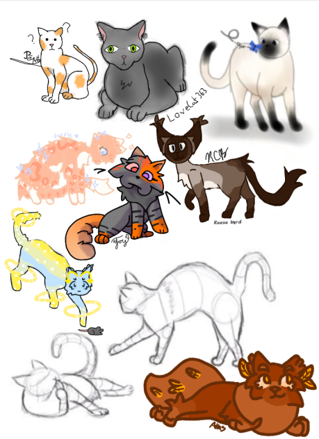 Cat collab - ibisPaint