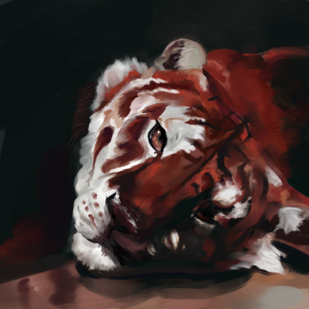 Tiger🐅 - ibisPaint