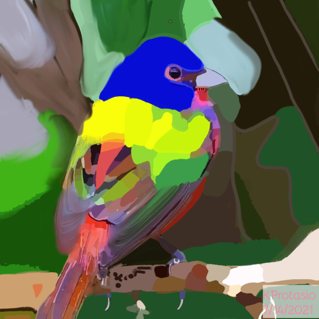 Colorful Bird - ibisPaint