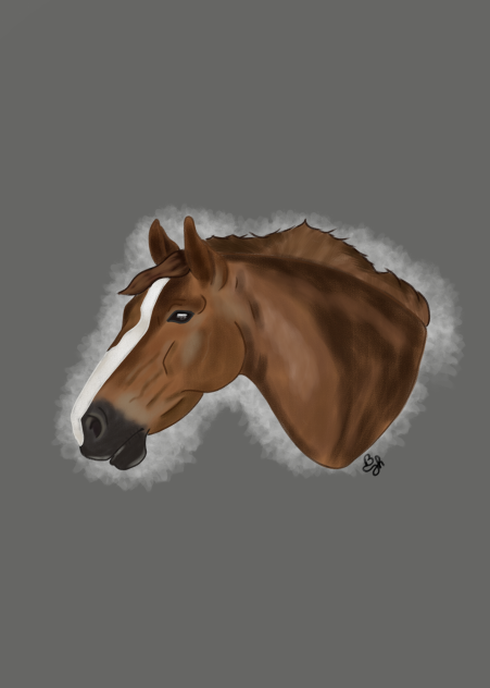 horse - ibisPaint