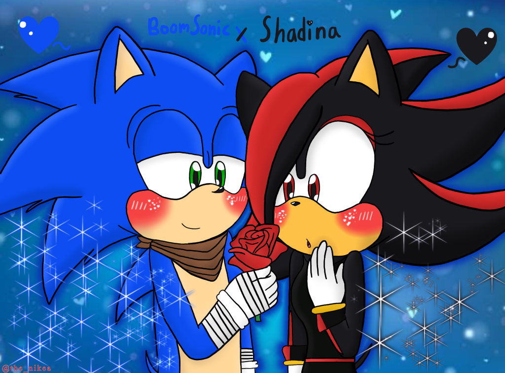 Boom Sonic x Shadina (Boomdina) 💙🖤 - ibisPaint