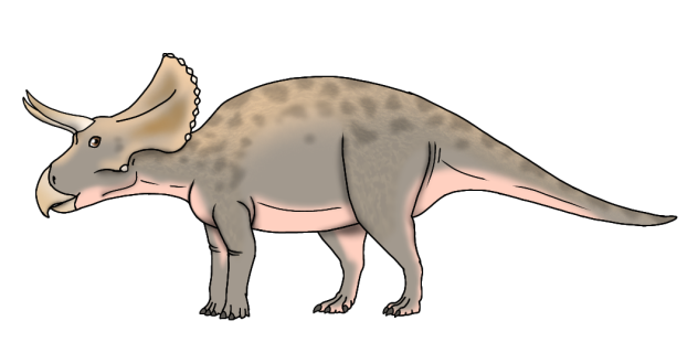 Turanoceratops tardabilis male rnd - ibisPaint