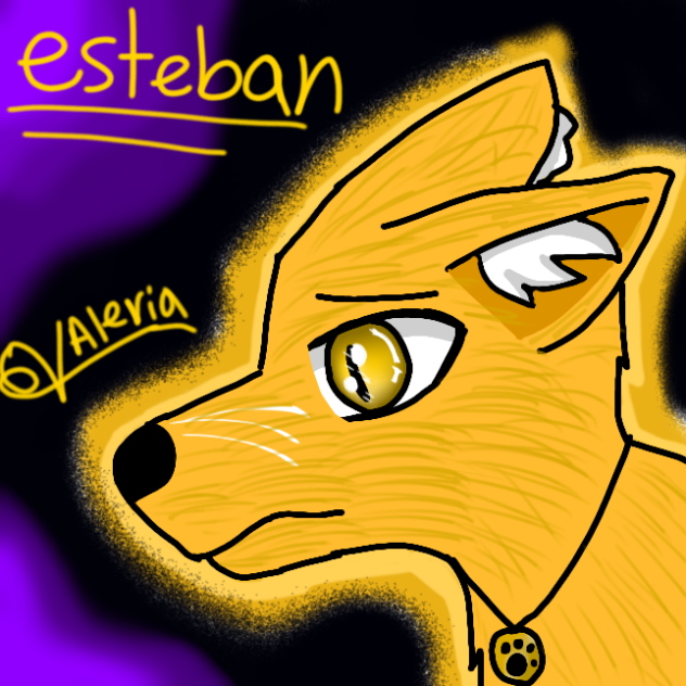 Esteban (zorro) - ibisPaint