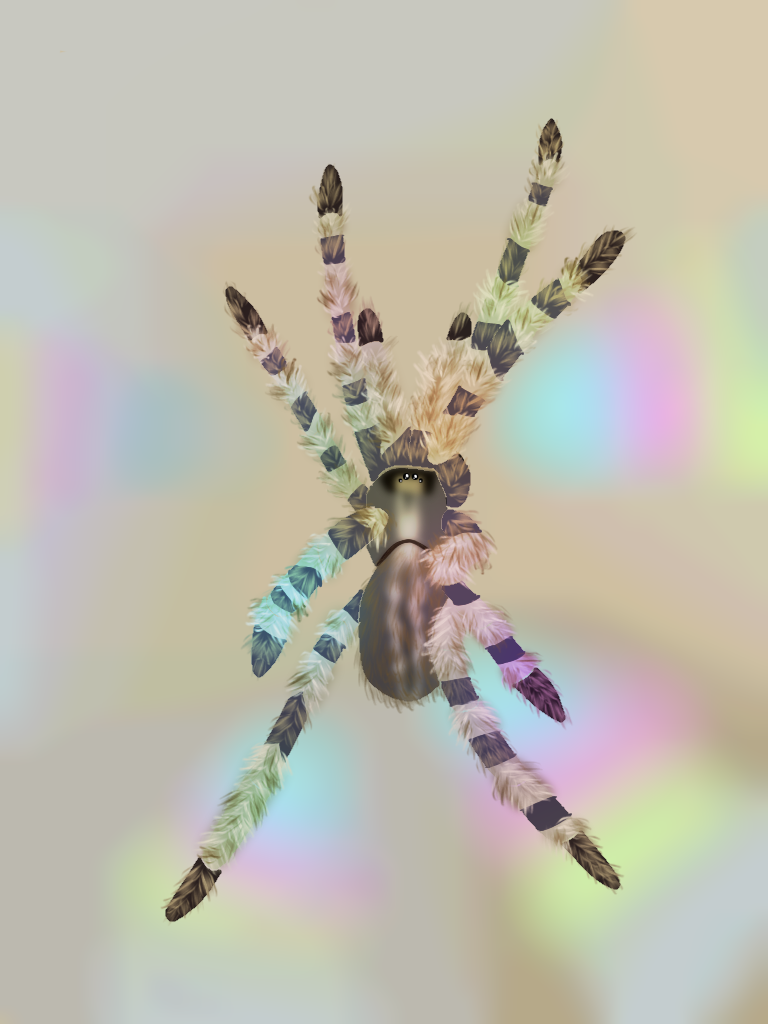 tarantula - ibisPaint