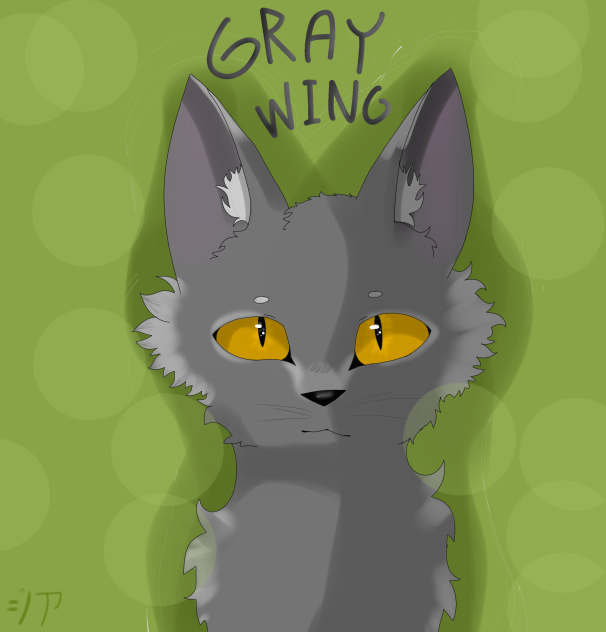 Gray wing warrior cats - ibisPaint
