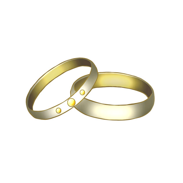 Beautiful wedding ring - ibisPaint