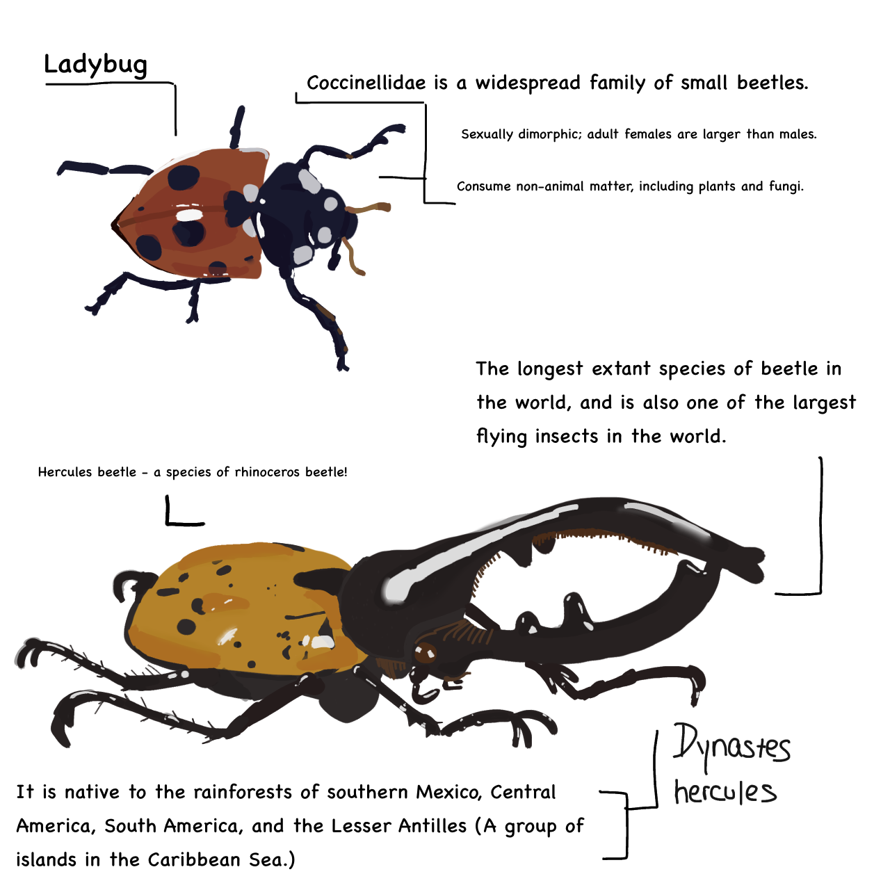 buggy bugs bugs - ibisPaint