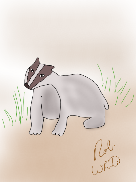 It's a Badger ! - ibisPaint