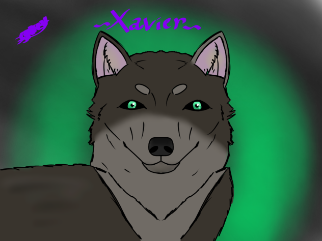Xavier OC - ibisPaint
