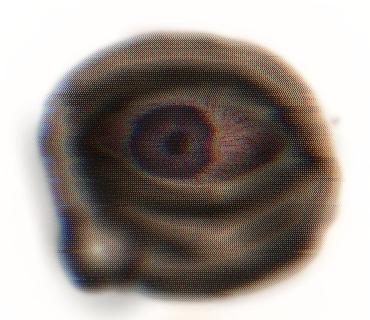 cursed eye - ibisPaint