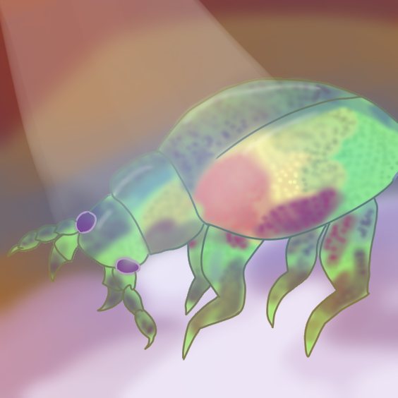 Beetle drawing - ibisPaint