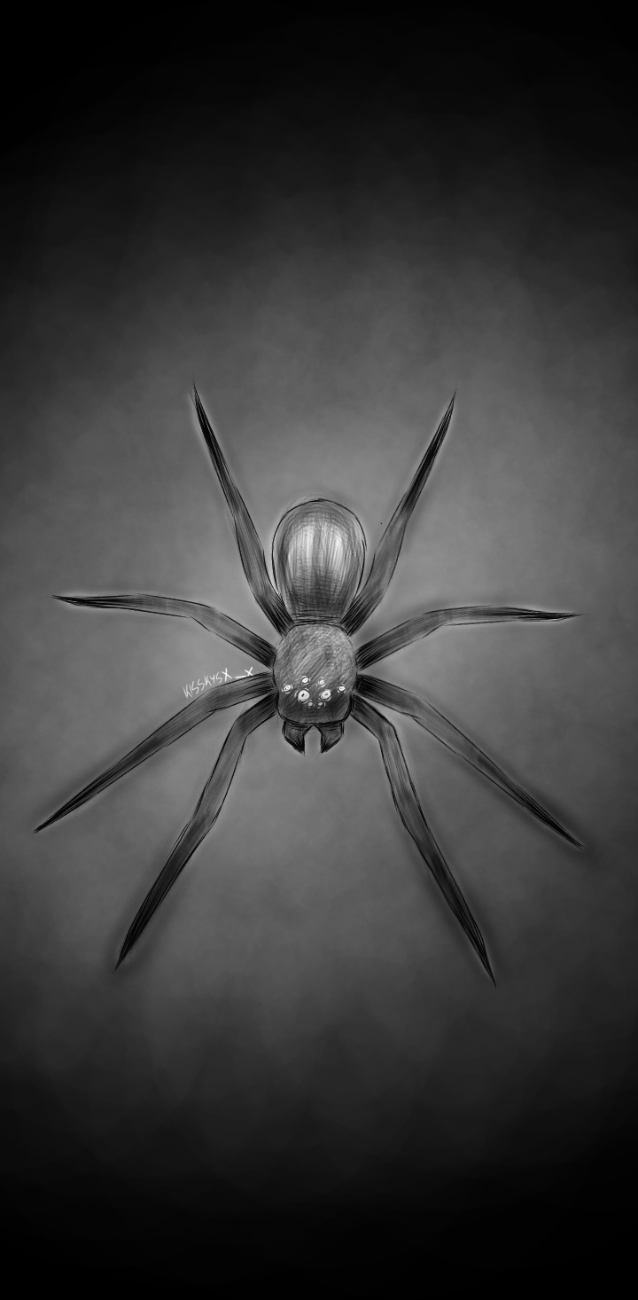 spider^^ - ibisPaint