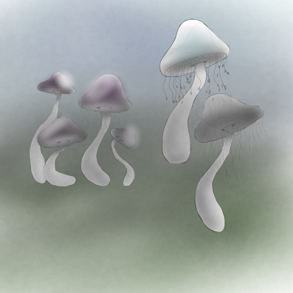 Mushrooms - ibisPaint