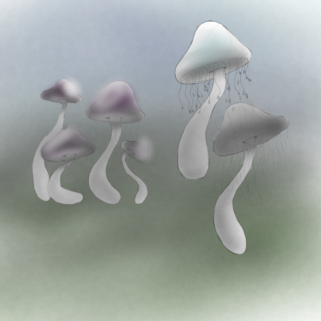 Mushrooms - ibisPaint