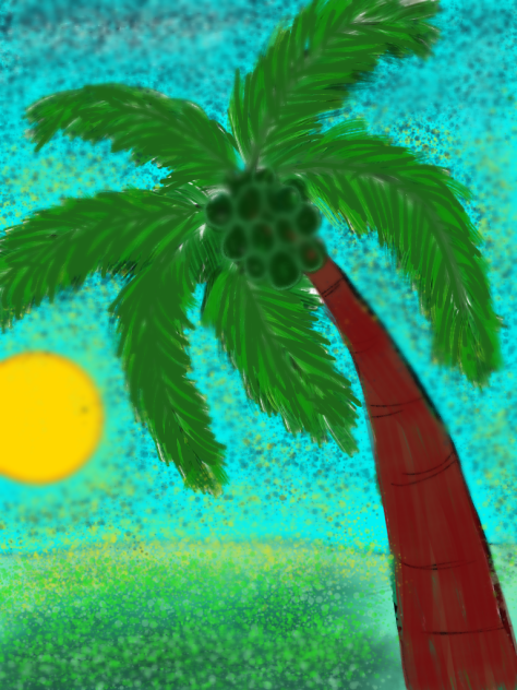 Sunset and Coconut Tree - ibisPaint
