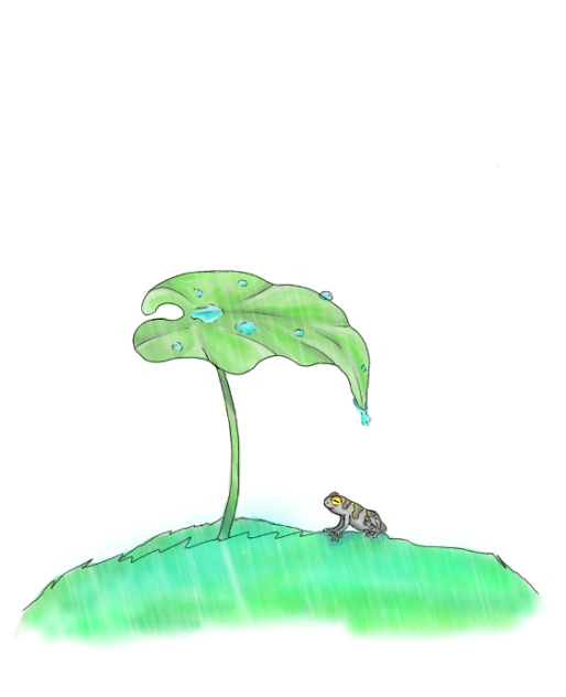 Rainy Frog - ibisPaint