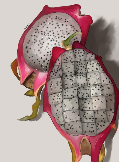 dragon fruit🐉🍎 - ibisPaint