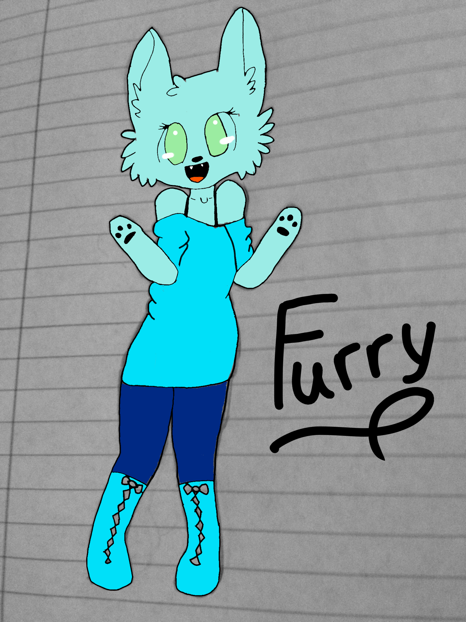 Furry SPEEDPAINT - ibisPaint