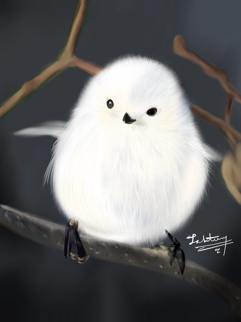 long tiled Tit - ibisPaint
