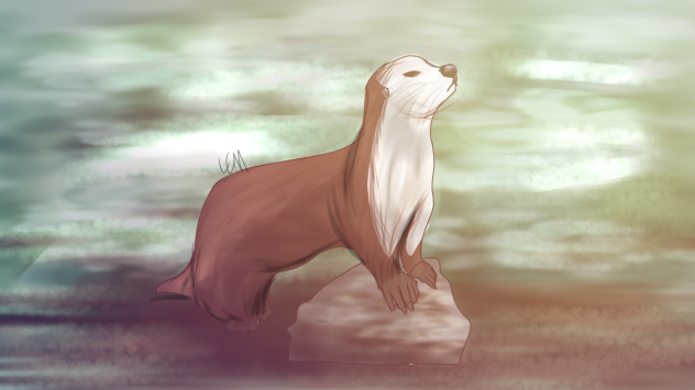 Otter - ibisPaint