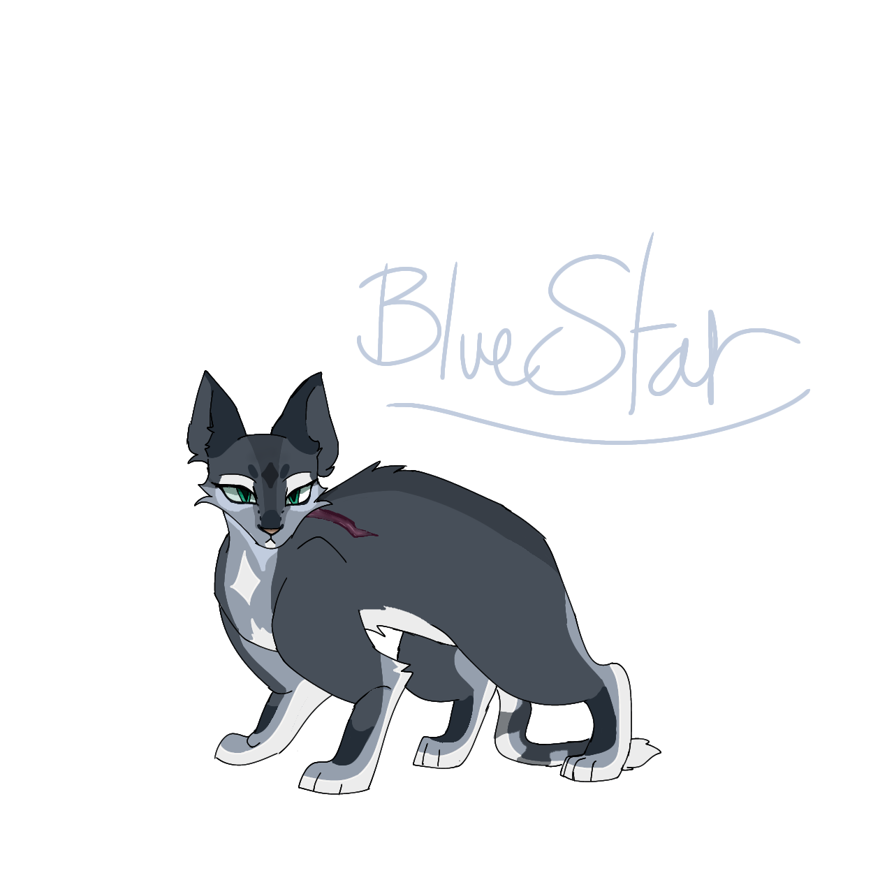 BLUESTAR ; WARRIOR CATS - ibisPaint