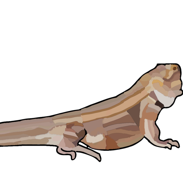 lizard - ibisPaint