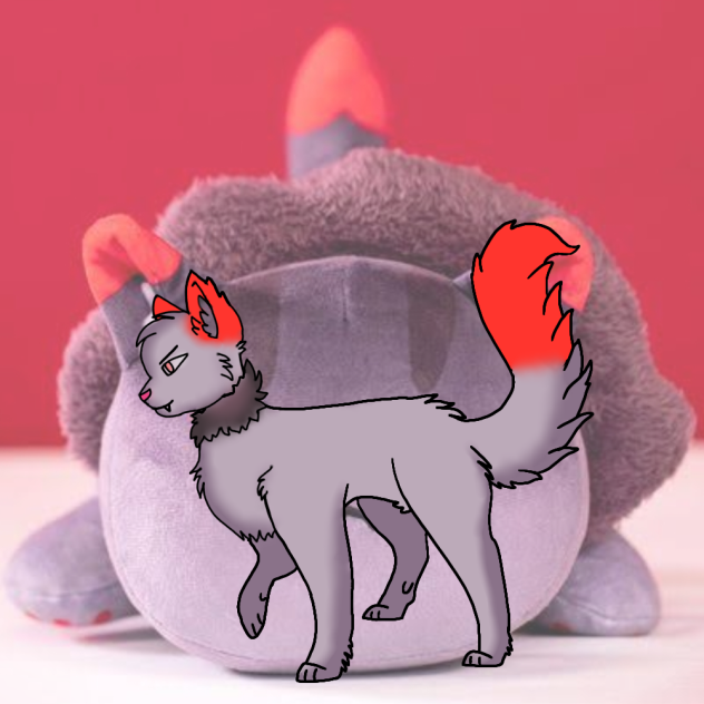 Aaron as a cat - ibisPaint