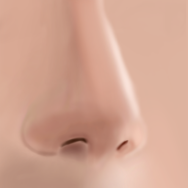 Nose - ibisPaint