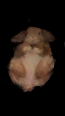 Rabbit - ibisPaint