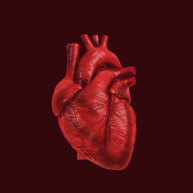 Heart beating🫀 - ibisPaint