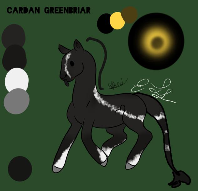 ~ Cardan updated reference ~ - ibisPaint