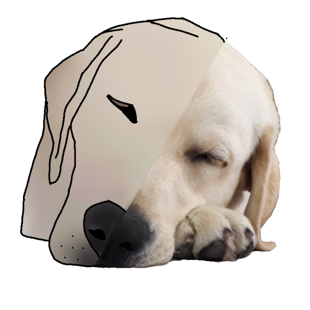 sleepy Labrador - ibisPaint