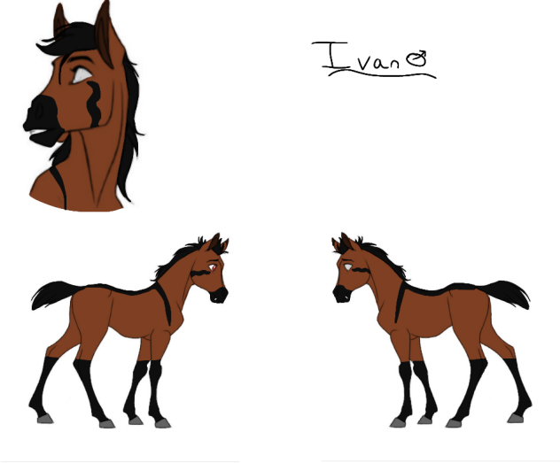 Ivan - Foal reference - ibisPaint