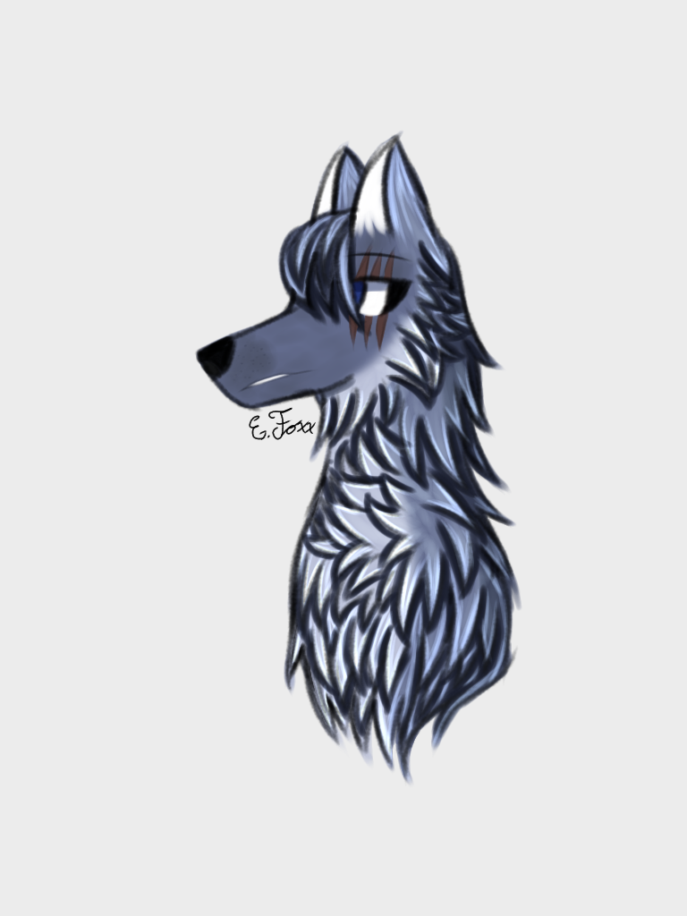 Wolf - ibisPaint