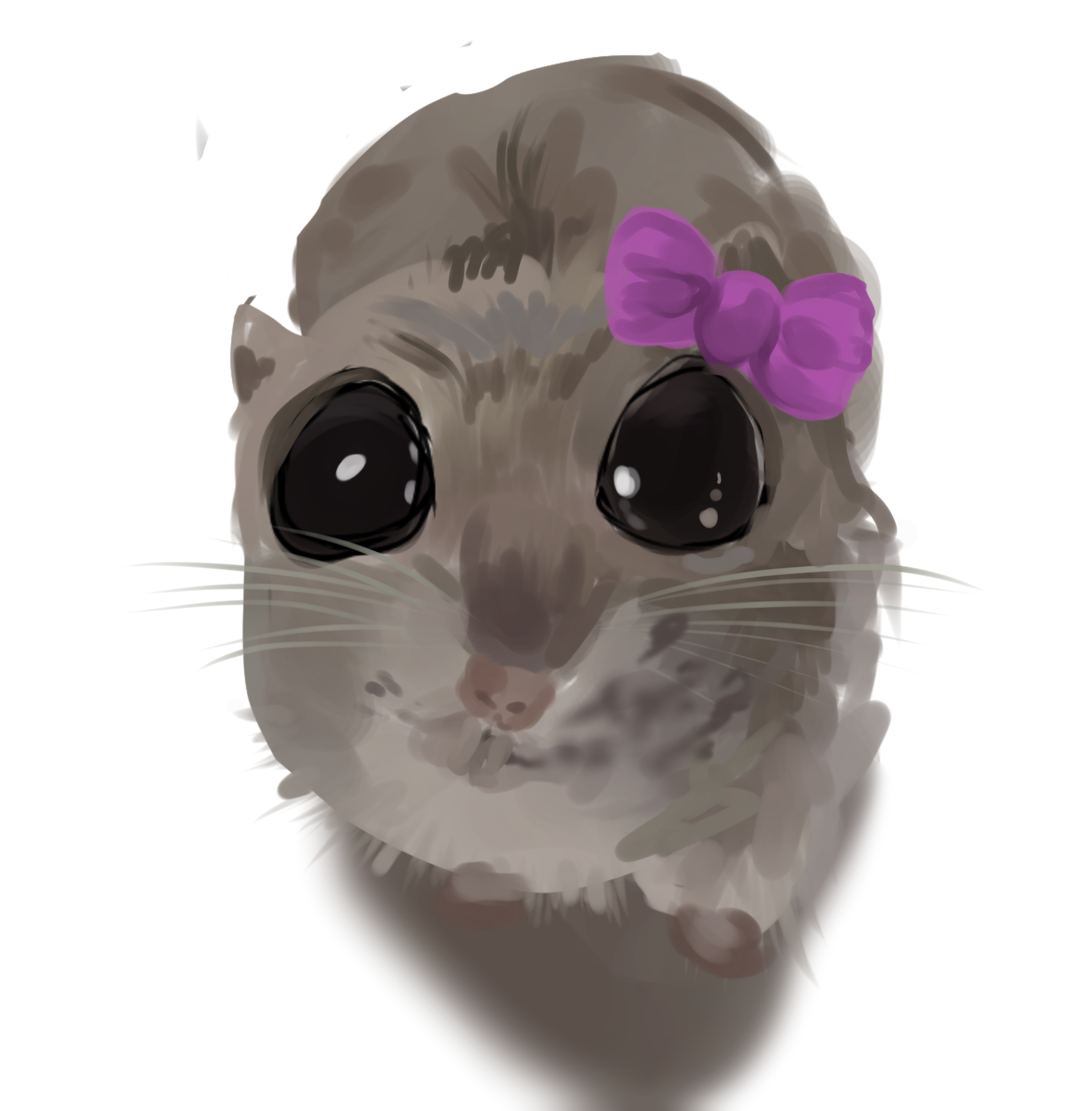 pov me begging for likes lol - ibisPaint