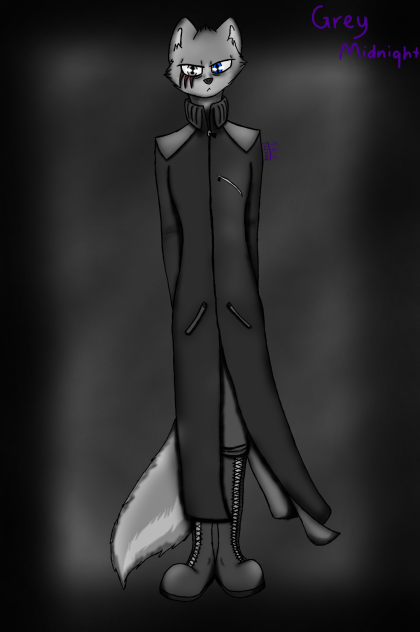 Grey Midnight - ibisPaint