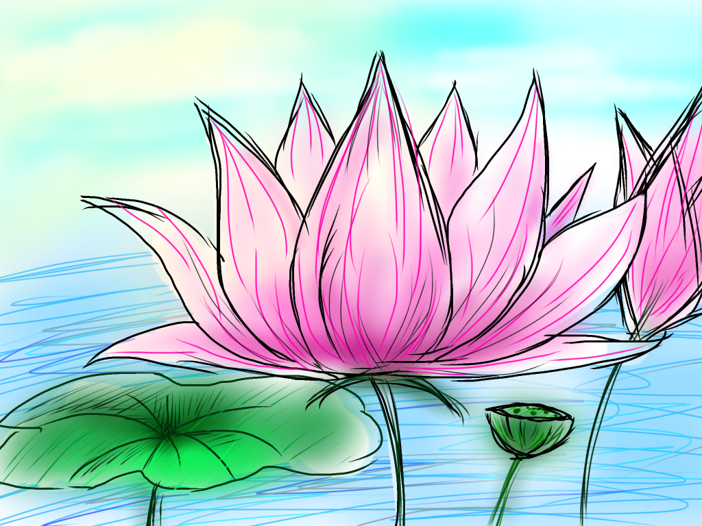 Sketch of Lotus - ibisPaint