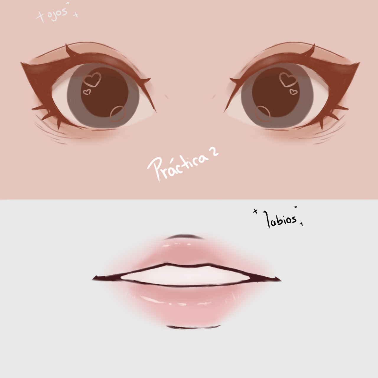 Práctica 2 - ibisPaint