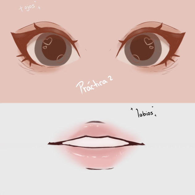 Práctica 2 - ibisPaint