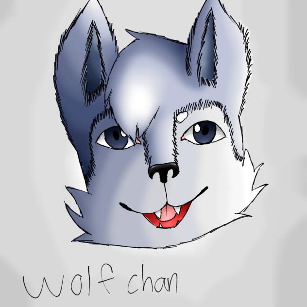 wolfchan - ibisPaint