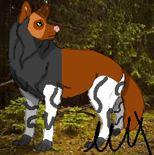 wolf x okapi - ibisPaint