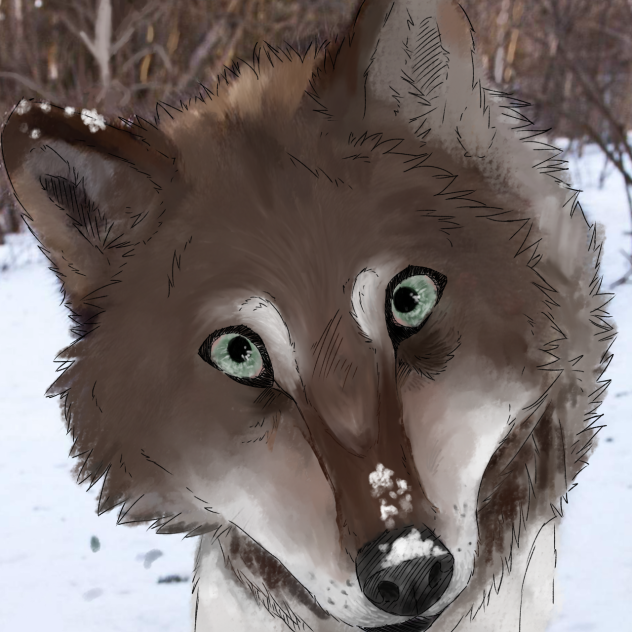 Snow wolf•. - ibisPaint