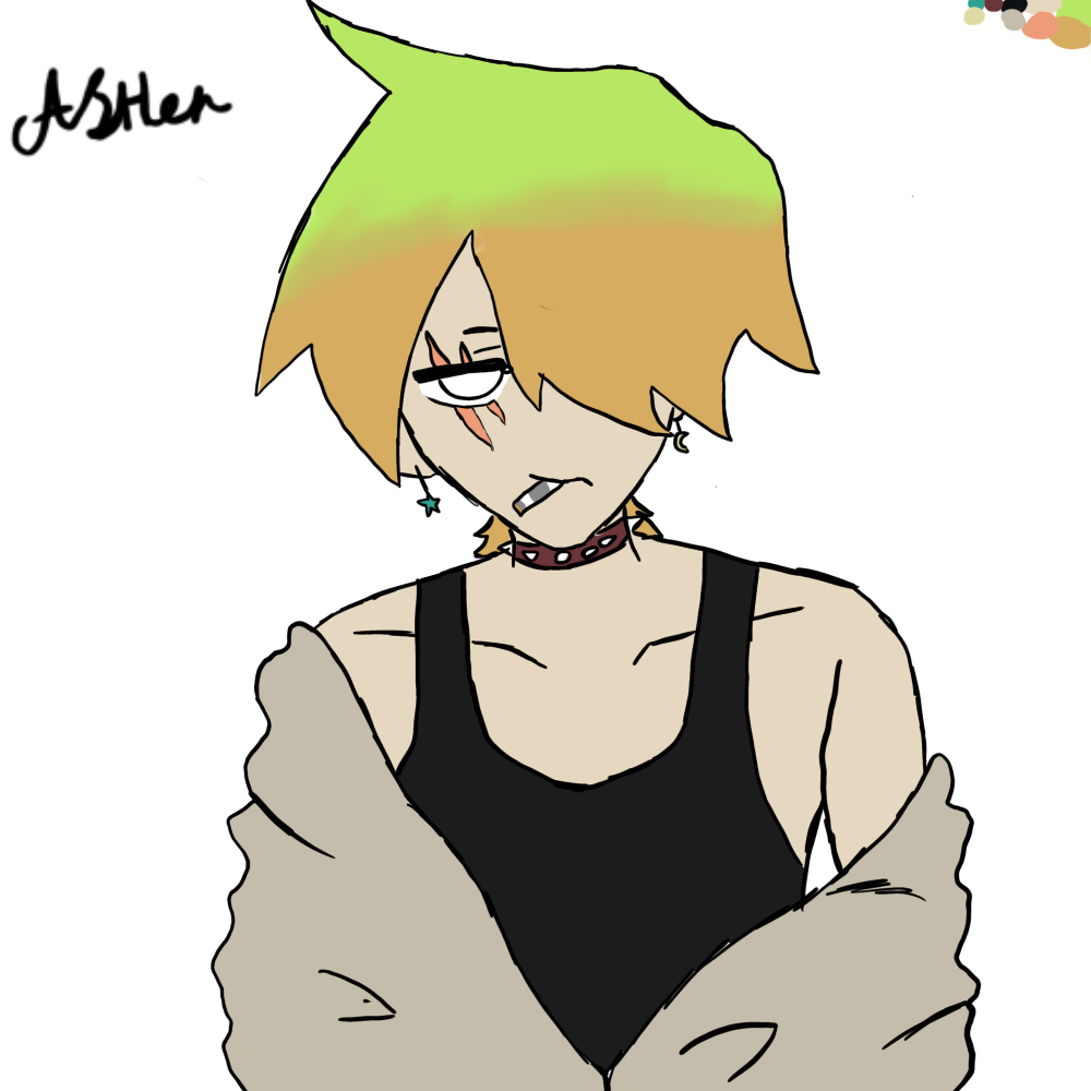 Asher DONT STEAL!!! - ibisPaint