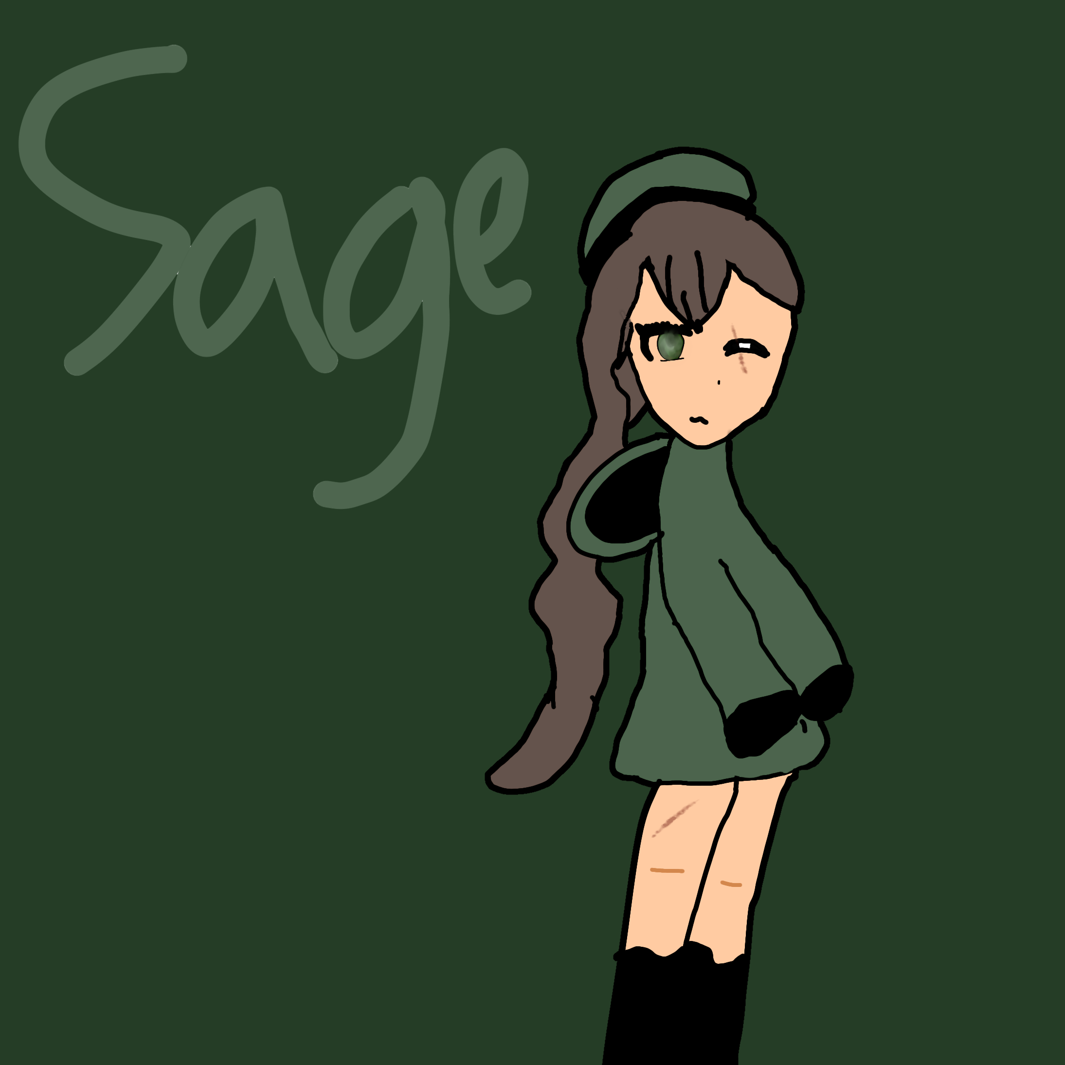 Sage my only human oc - ibisPaint