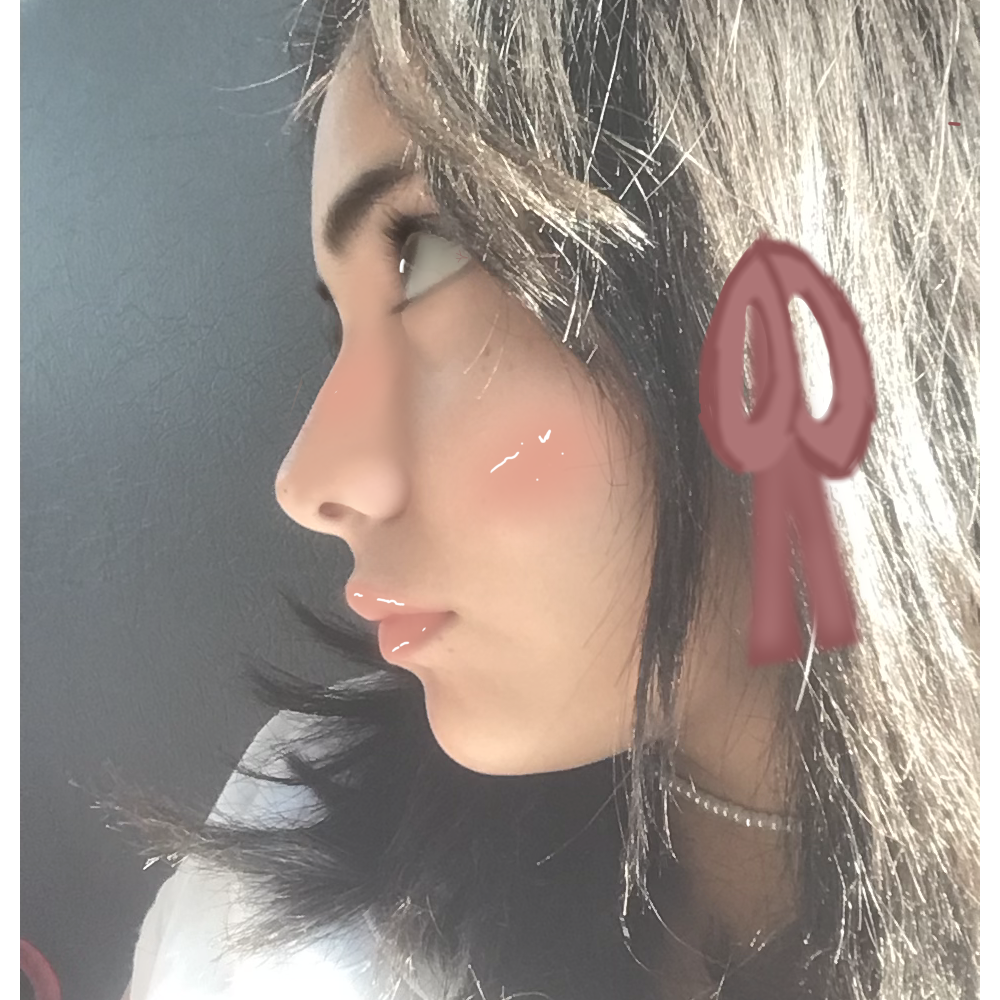 Last drawing - ibisPaint