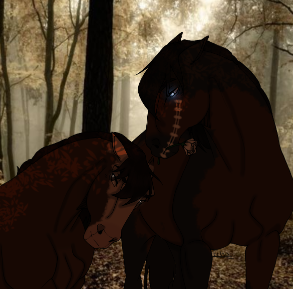 ~ Stella x Everett ~ - ibisPaint