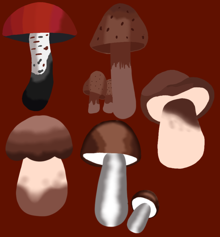 Cursed Mushrooms - ibisPaint