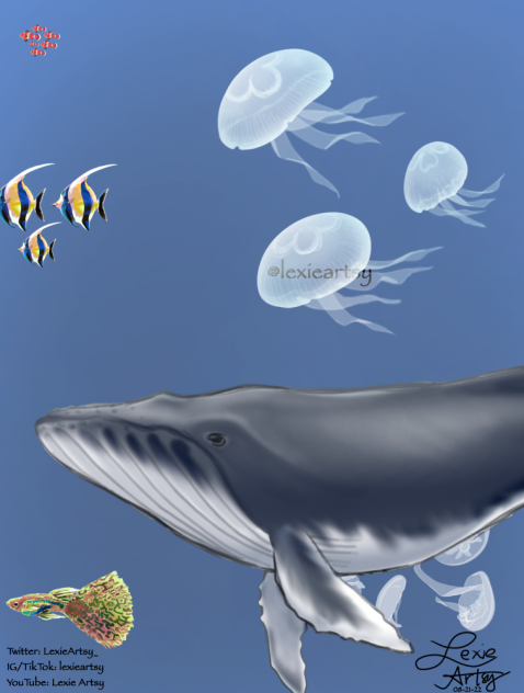 Under the Sea - ibisPaint